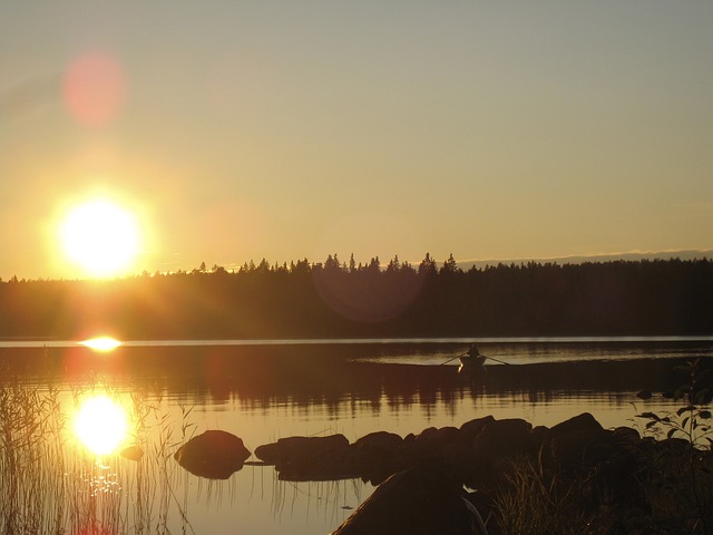 Matkultur i Västerbotten: Ost, palt och skogens guld – Matmamman